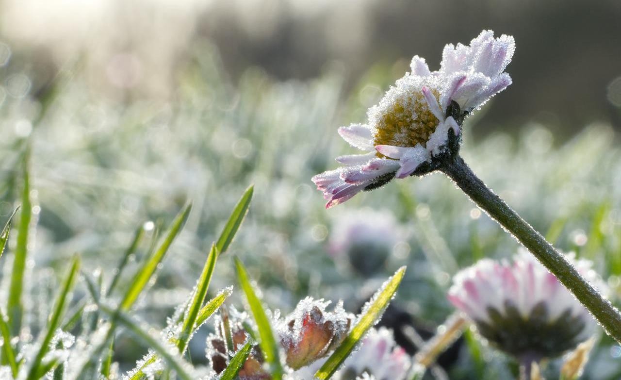 The Hydrometeorological Center predicted a significant cold snap in ...